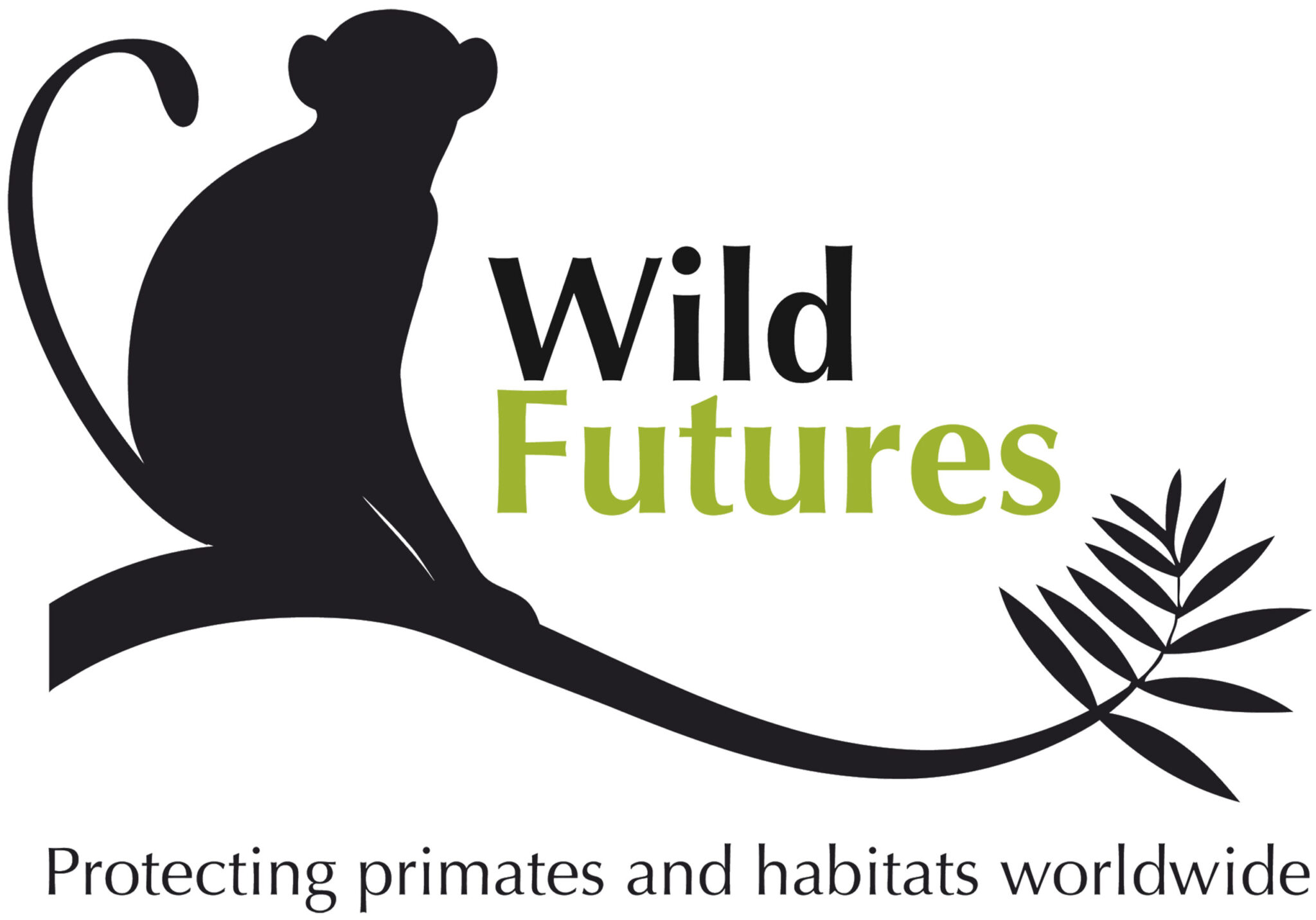 Wild Futures – Protecting Primates and Habitats Worldwide